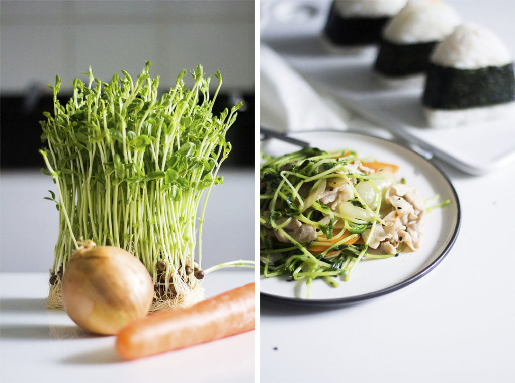 Yasai Itame – LePlainCanvas