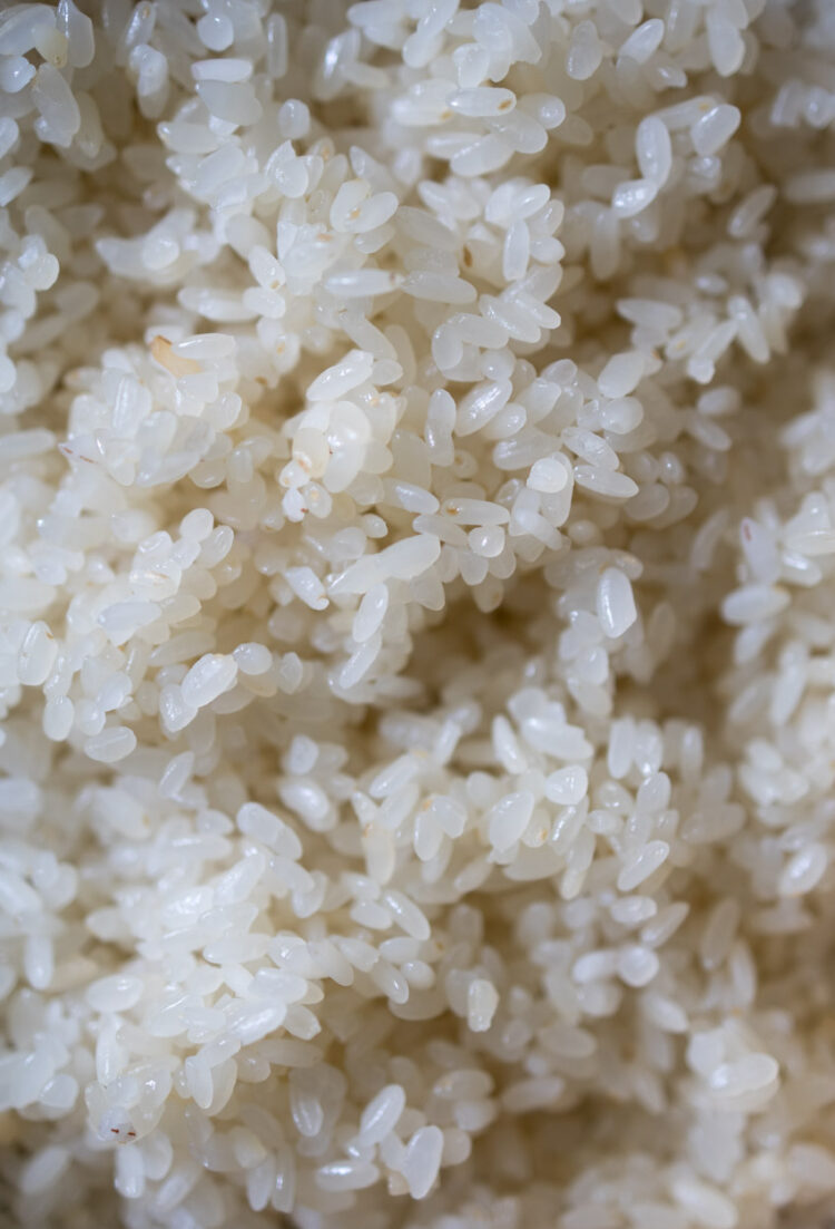 Thai Mango Sticky Rice Shake – LePlainCanvas