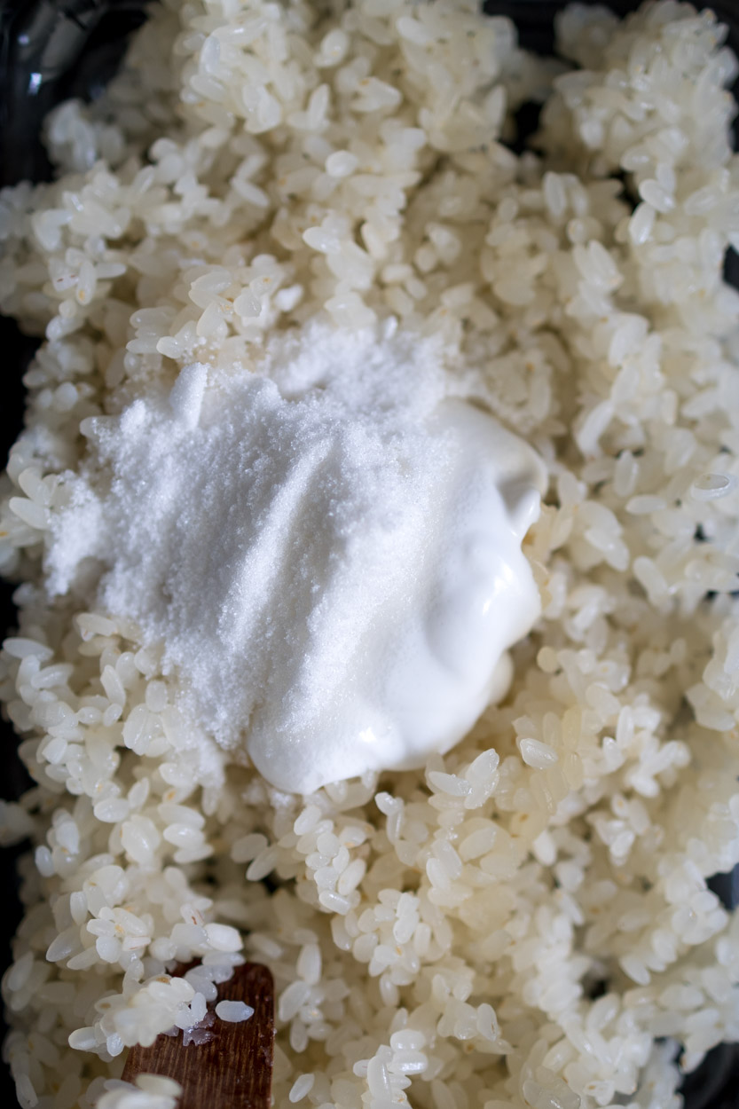 Thai Mango Sticky Rice Shake – LePlainCanvas