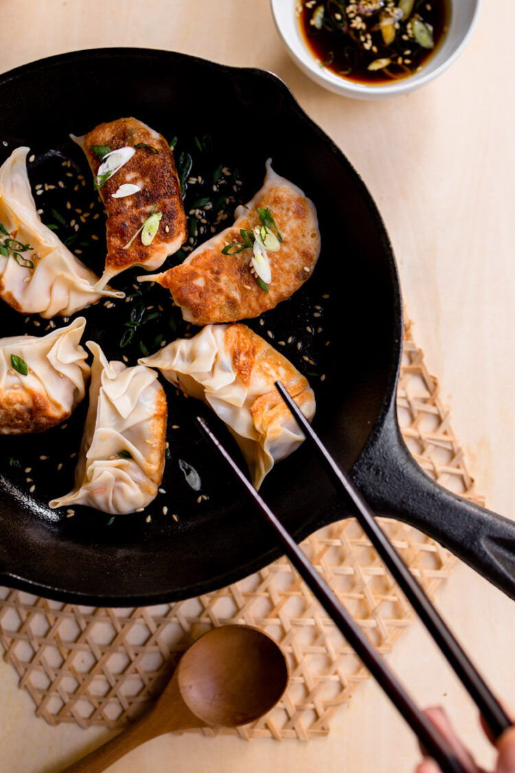 Crispy Tofu and Kimchi Mandu – LePlainCanvas