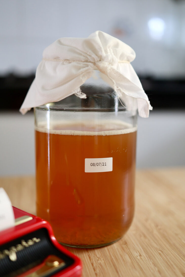 How to make your own Kombucha Scoby – LePlainCanvas