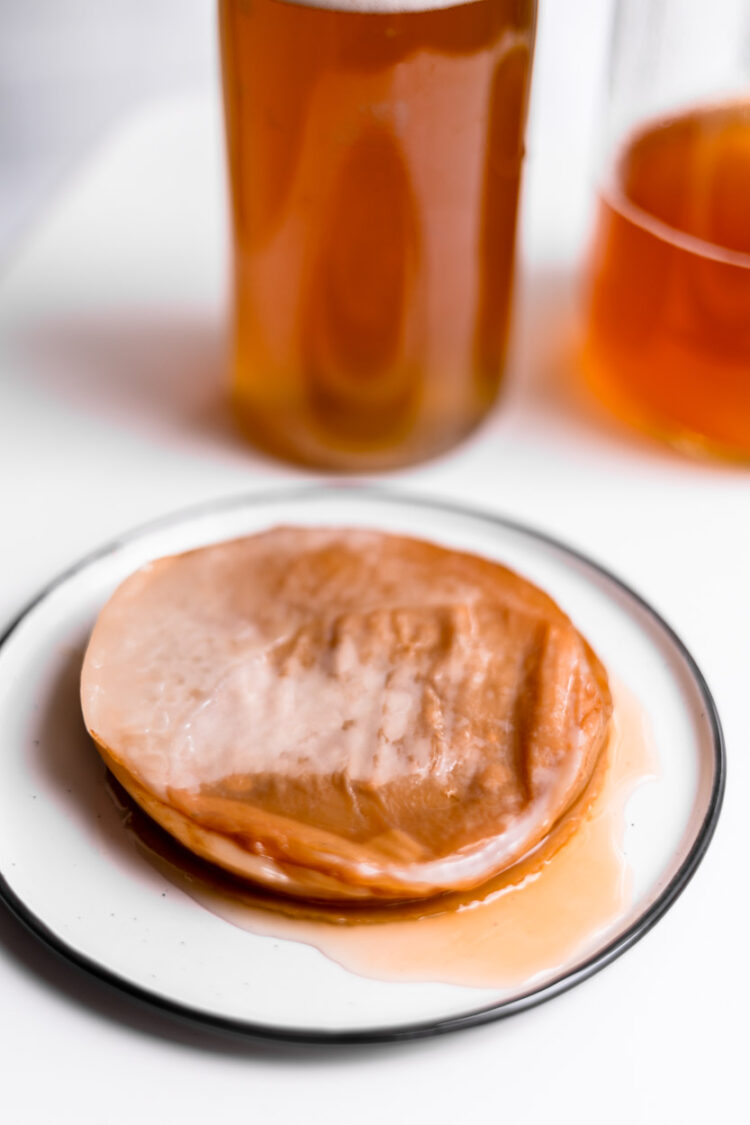 Passionfruit Kombucha – LePlainCanvas