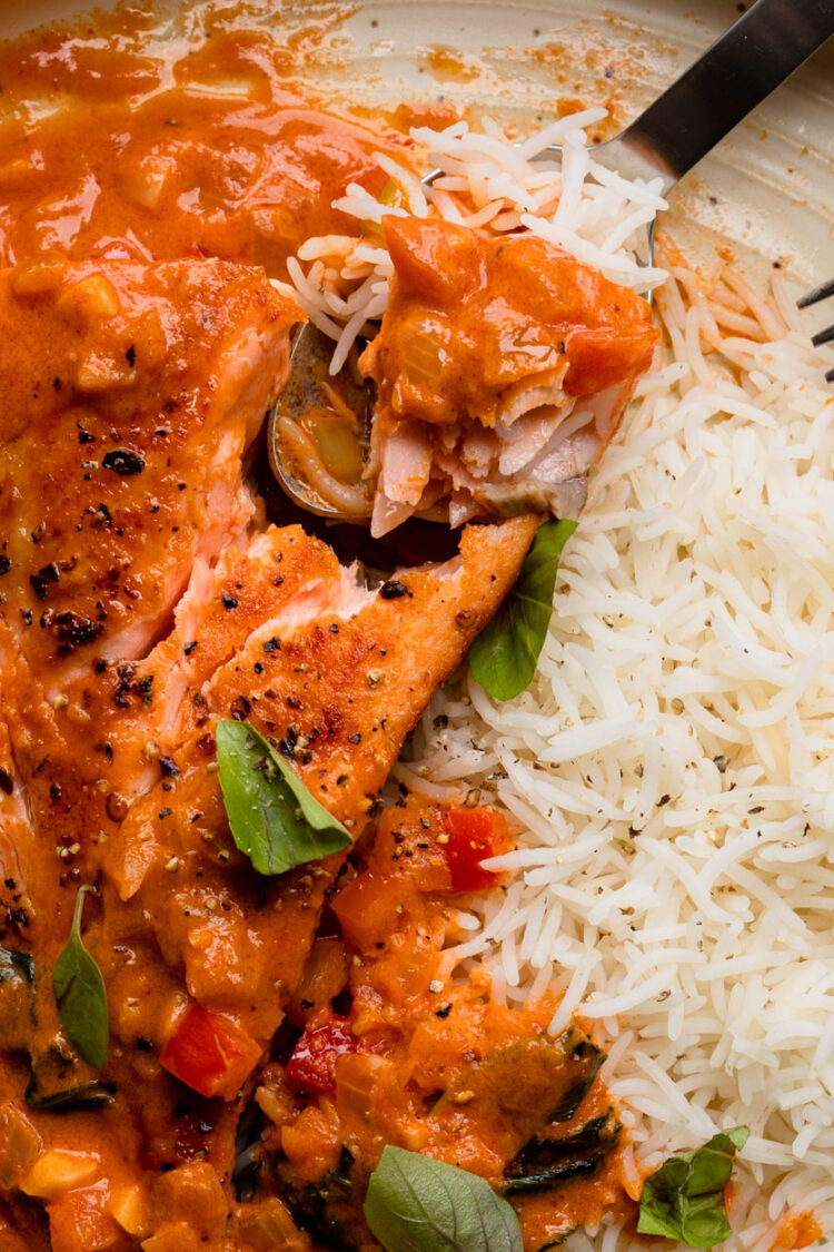Salmon Curry Rice – LePlainCanvas