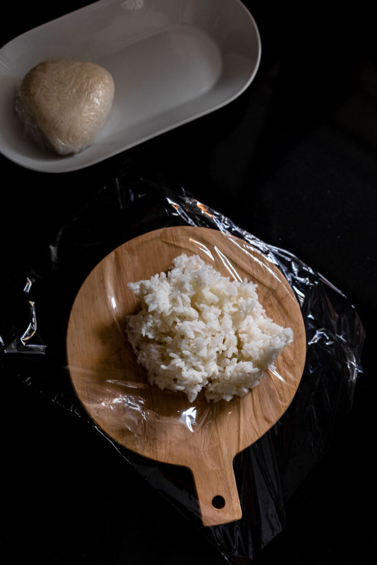 Grilled Rice Ball – LePlainCanvas