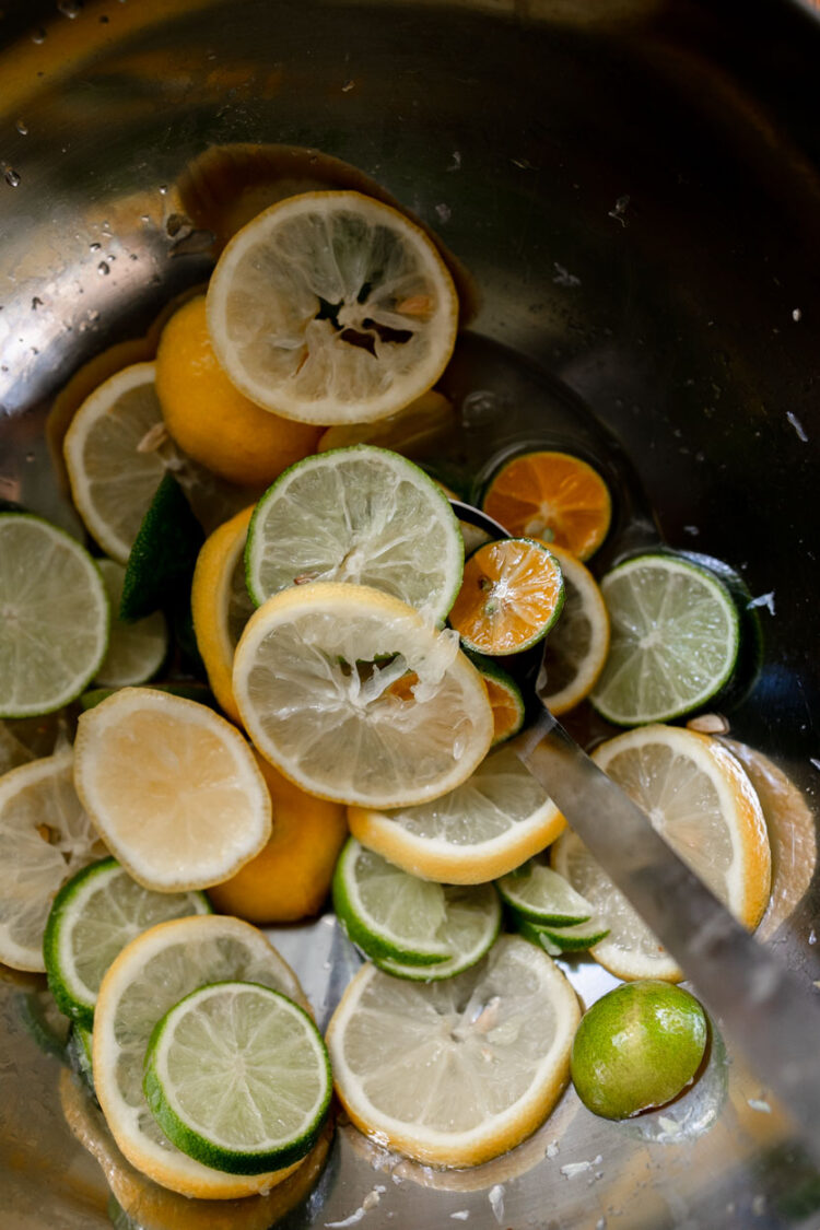 Citrus Salted Plum Soda – LePlainCanvas