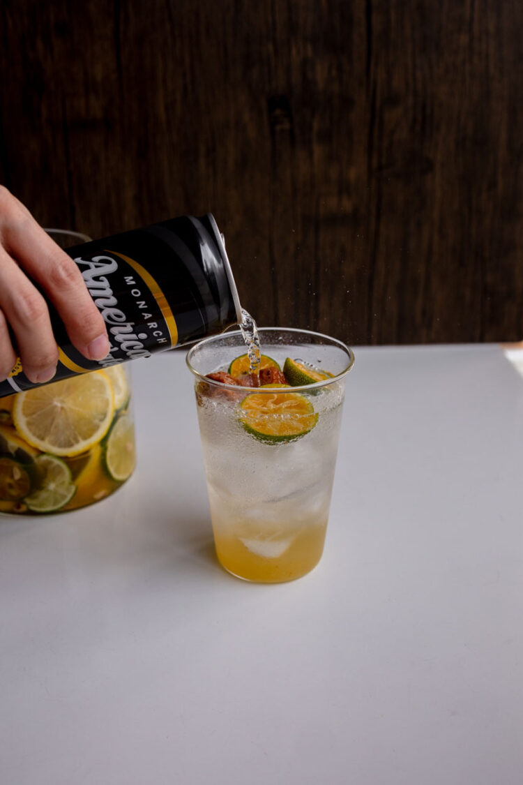 Citrus Salted Plum Soda – LePlainCanvas