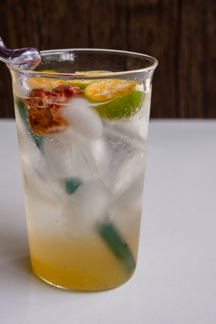 Citrus Salted Plum Soda – LePlainCanvas
