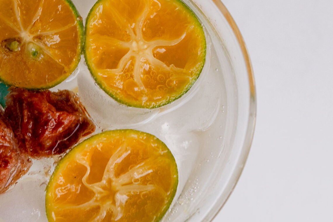 Citrus Salted Plum Soda – LePlainCanvas