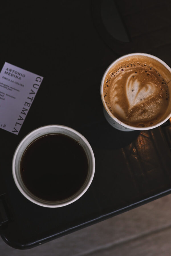 Cafe Explorer: Fluid Collective – LePlainCanvas